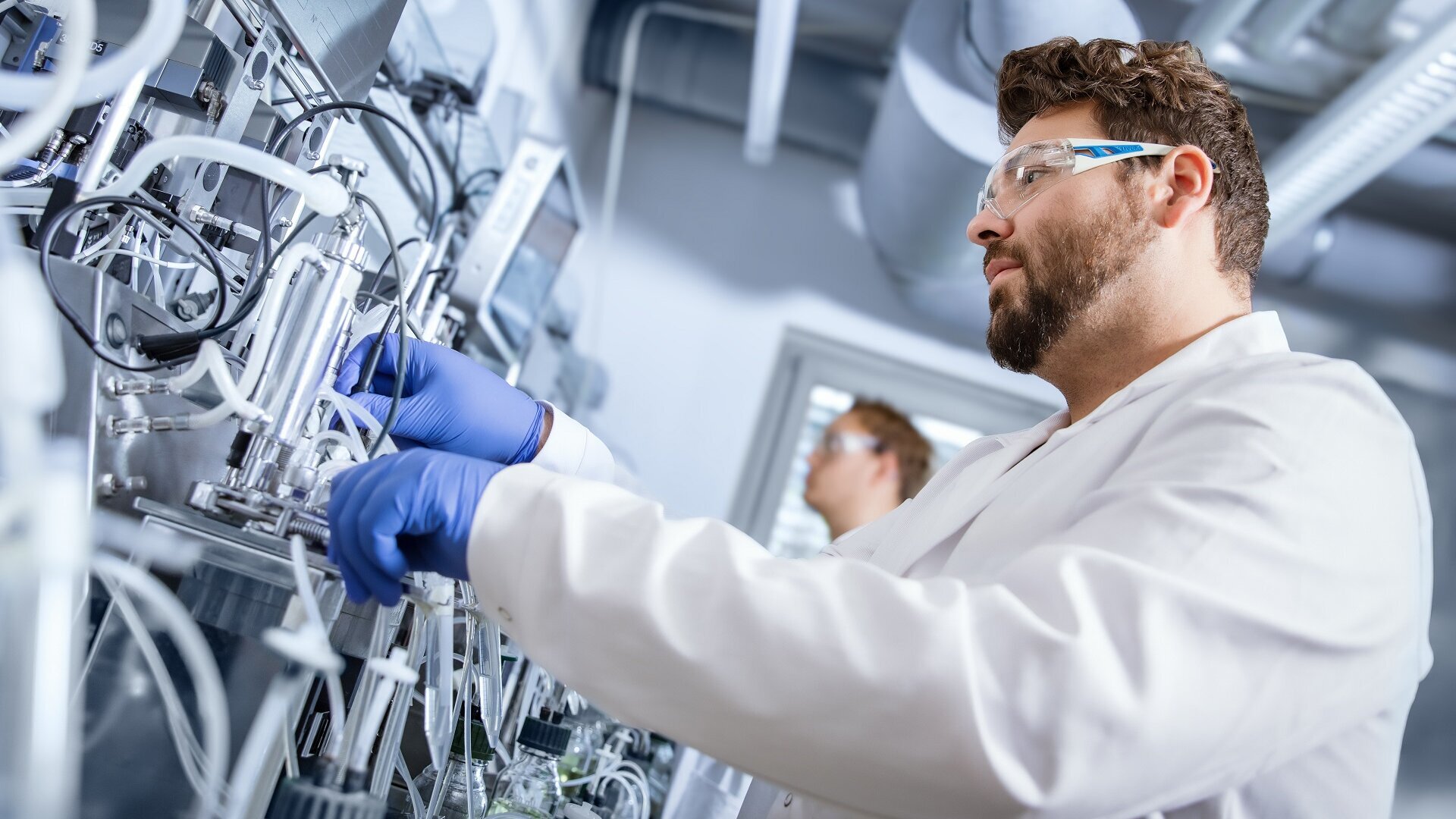 Methanol-Induced Pichia Protein Expression - VALIDOGEN GmbH